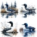 28 Common Loon PNG Clipart Bundle, Watercolor Loon Silhouette Abstract ...