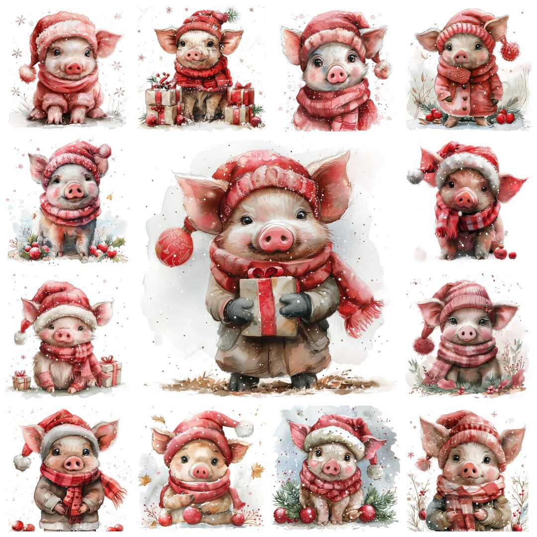 Christmas Pig PNG Clipart, Watercolor 45 Festive Pig Transparent ...