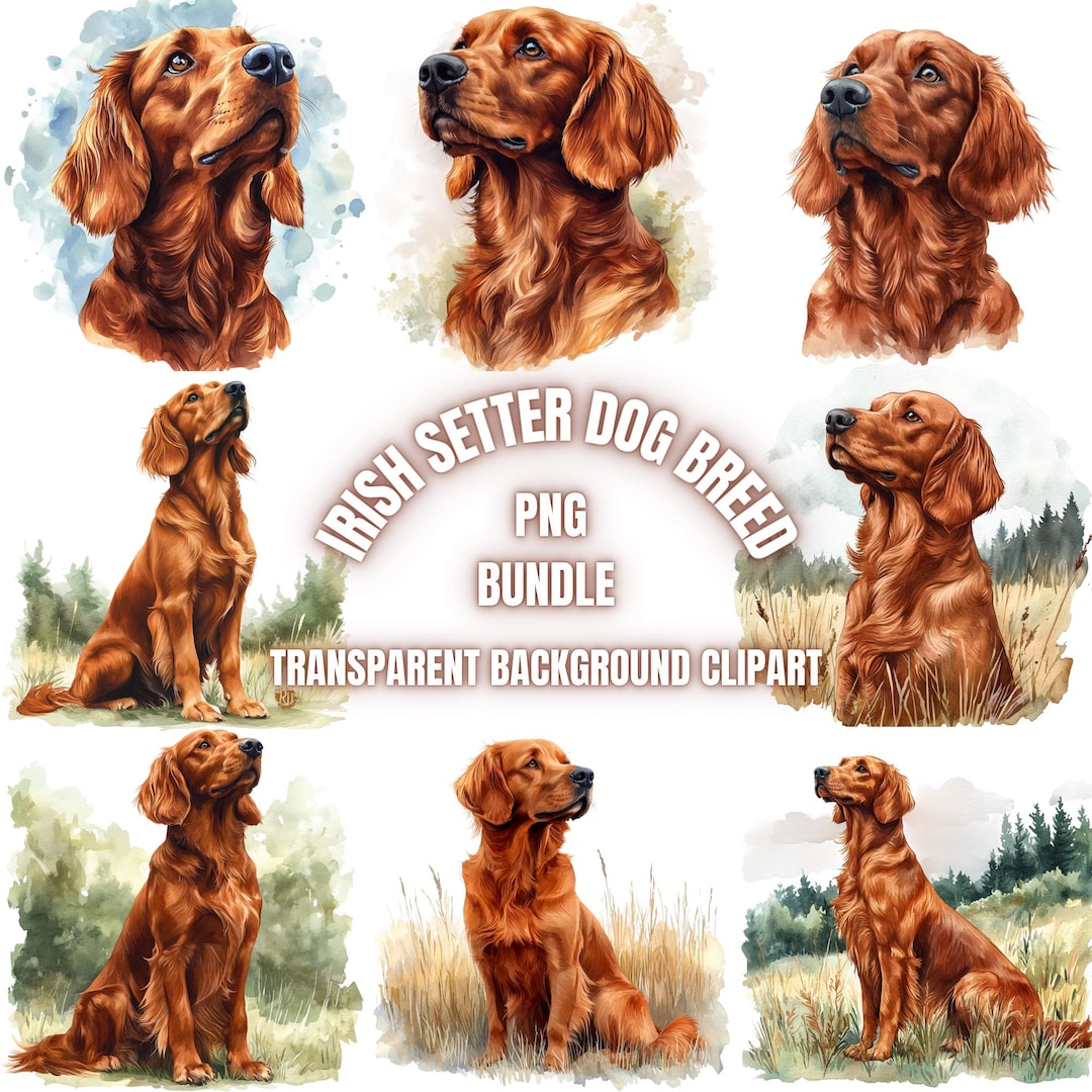 Irish Setter Dog Breed PNG Clipart Bundle | Watercolor Red Setter Dog ...
