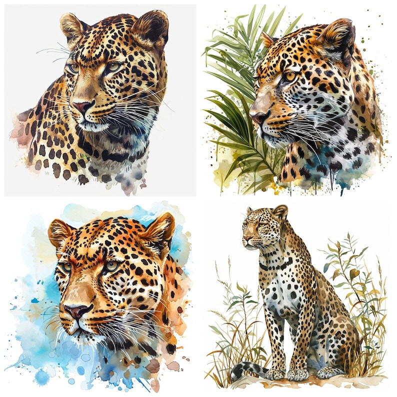 Watercolor Leopard PNG Clipart, 28 Wild Big Cat Panthera Pardus Images ...