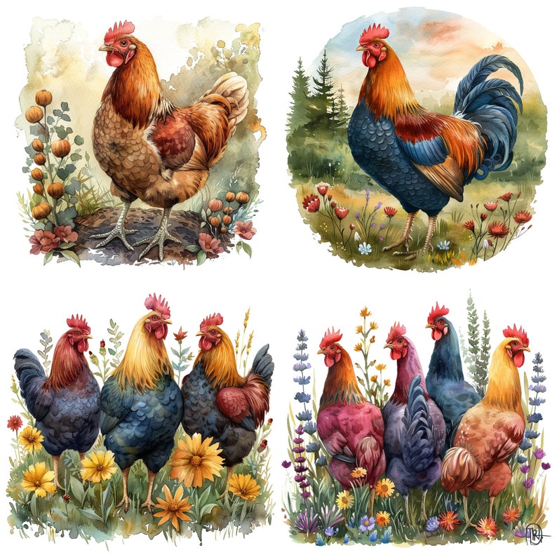 Watercolor Chicken PNG Clipart, 30 Farm Hen Scenery Images, Floral ...