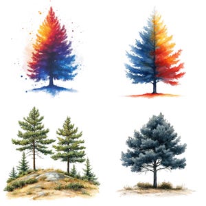 Pine Tree PNG Clipart Bundle, Watercolor Pine Tree Forest Illustration ...