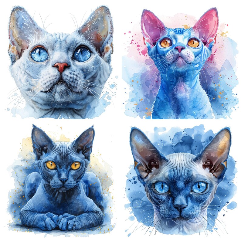 43 Sphynx Cat Breed PNG Clipart, Watercolor Hairless Cat Sphynx ...