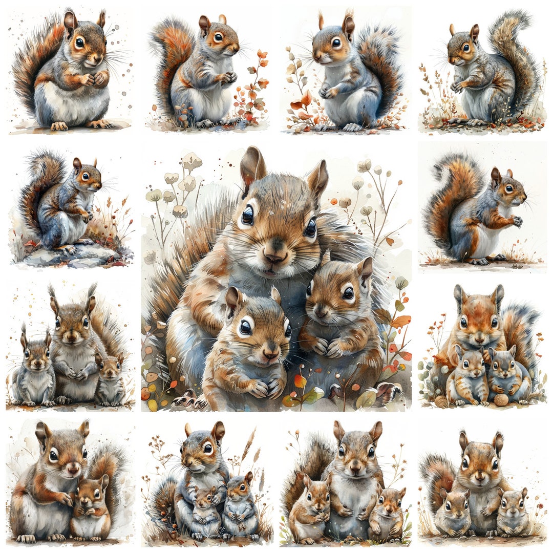 26 Gray Squirrel PNG Clipart, Watercolor Eastern Gray Squirrel ...