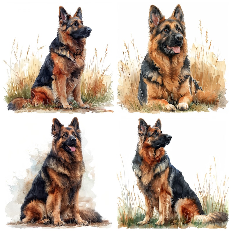 German Shepherd Dog PNG Clipart Bundle, Watercolor German Shepherd Dog ...