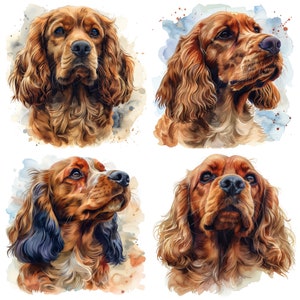 44 Cocker Spaniel Dog Breed PNG Clipart, Watercolor English Cocker ...