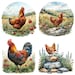 30 Watercolor Chicken PNG Clipart, Farm Hen Scenery Images, Floral ...