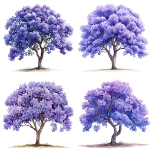 Jacaranda Tree PNG Clipart Bundle, Watercolor Tree Illustration ...