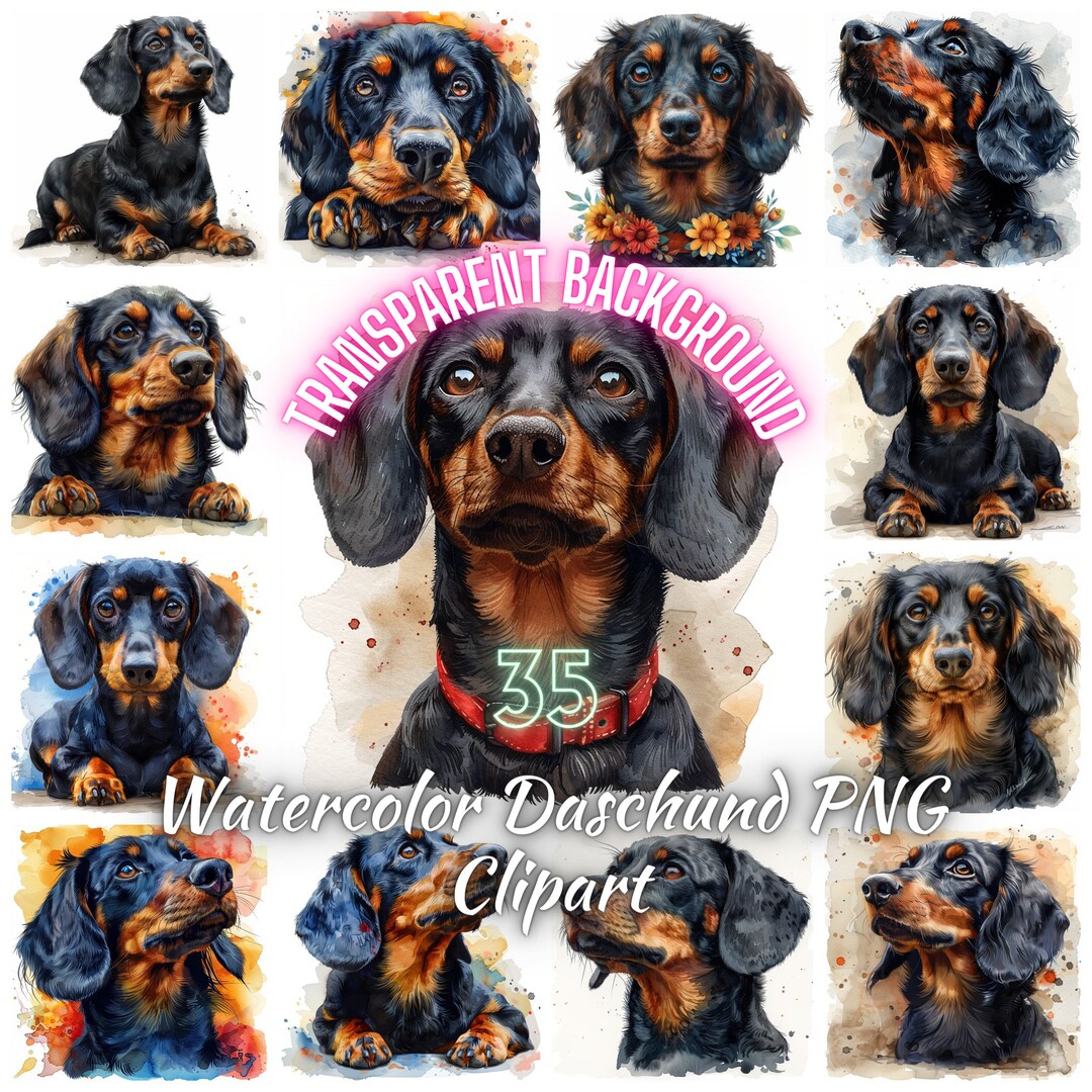 35 Dachshund Dog Breed PNG Clipart, Watercolor Sausage Dog Dachshund ...