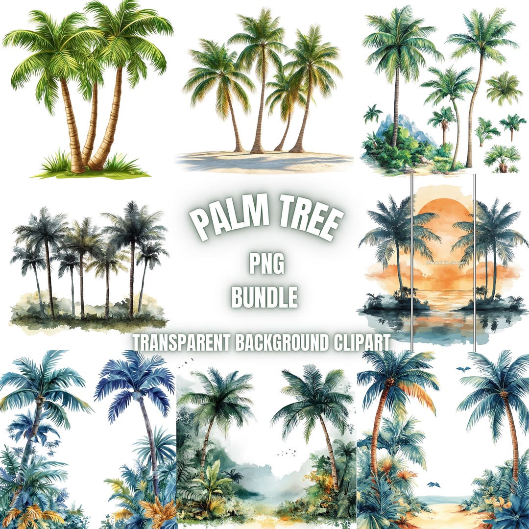 Palm Tree PNG Clipart Bundle, Watercolor Palm Tree Illustration, Palm ...