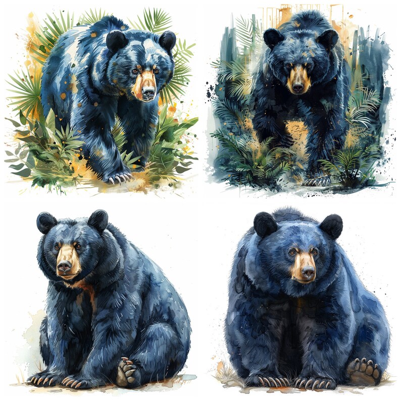 36 American Black Bear PNG Clipart, Watercolor Black Bear Wild Animal ...