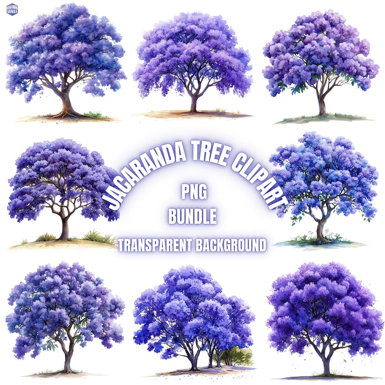 Jacaranda Tree PNG Clipart Bundle, Watercolor Tree Illustration ...