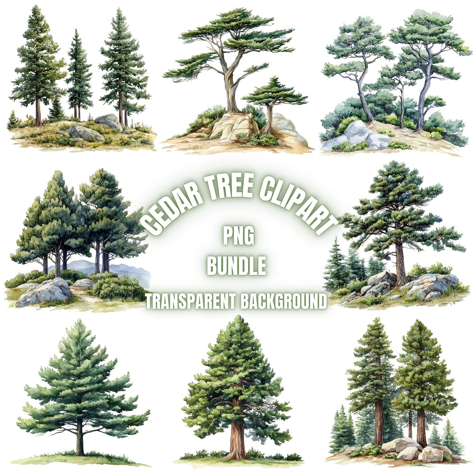 Cedar Tree PNG Clipart Bundle, Watercolor Cedar Tree Landscape ...