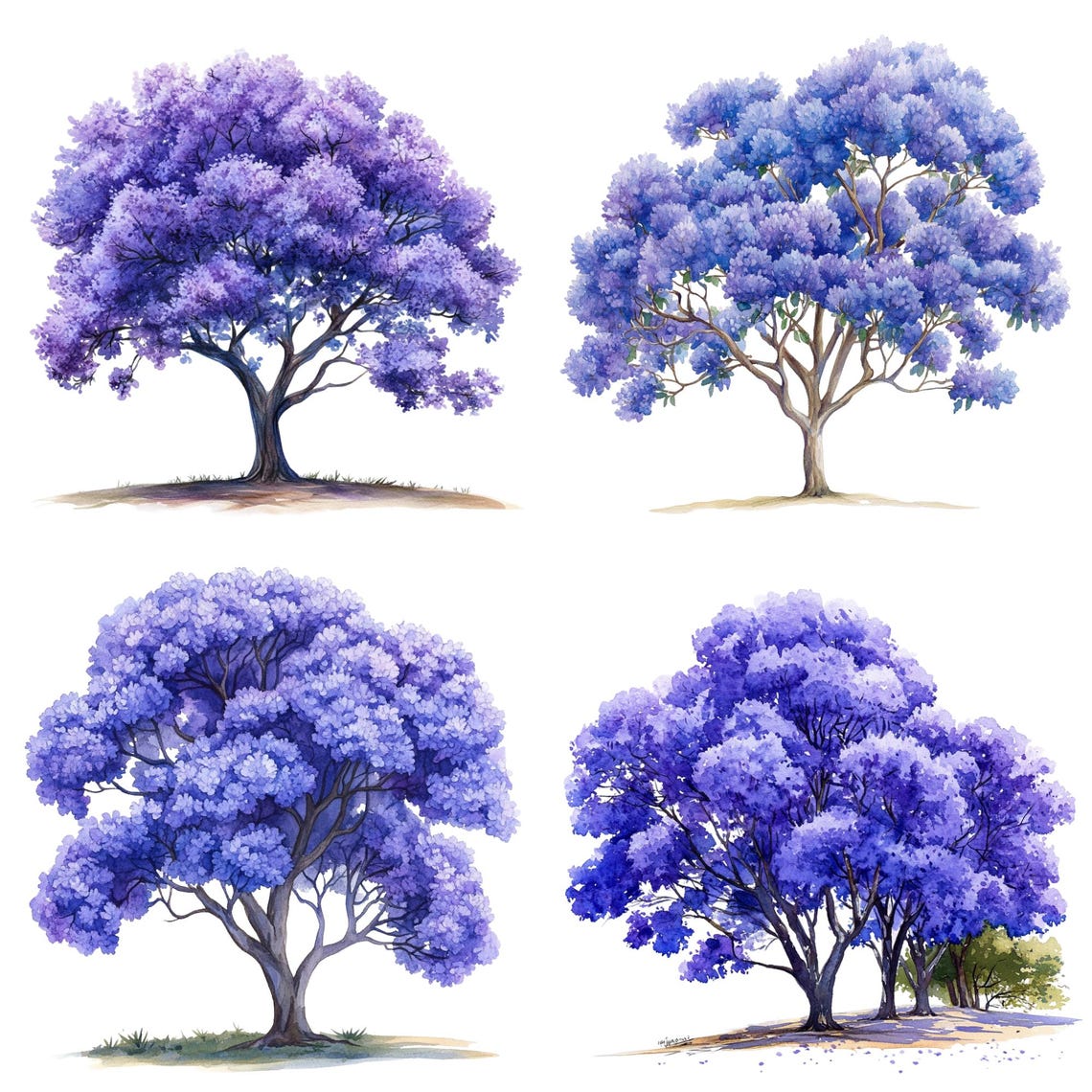 Jacaranda Tree PNG Clipart Bundle, Watercolor Tree Illustration ...