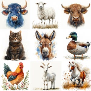 Watercolor Rustic Farm Animals Mega PNG Clipart Bundle, 60 PNG Images ...
