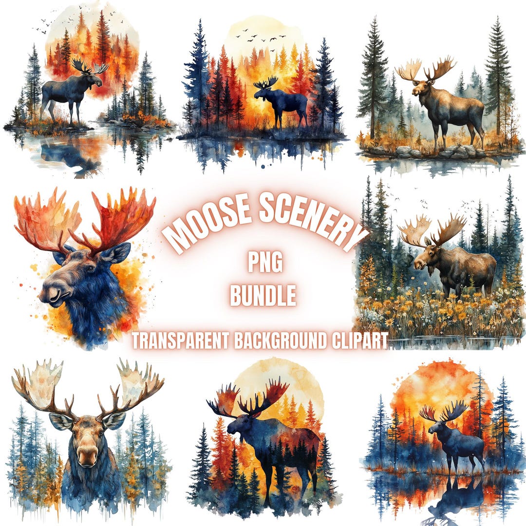 24 American Moose PNG Clipart Bundle, Watercolor Moose Abstract ...