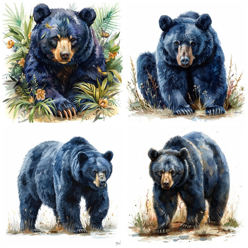 36 American Black Bear PNG Clipart, Watercolor Black Bear Wild Animal ...
