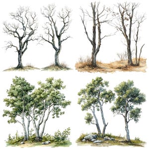 Ash Tree PNG Clipart Bundle, Watercolor Ash Forest Landscape ...