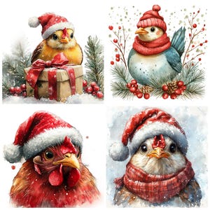 32 Christmas Chicken PNG Clipart Bundle, Watercolor Xmas Chicken ...
