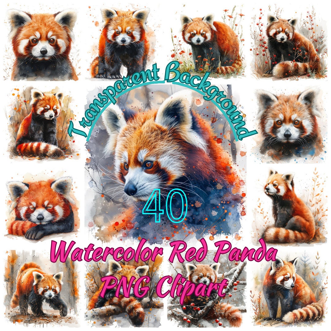40 Watercolor Red Panda PNG Clipart, Fluffy Panda Images, Wild Cutie ...
