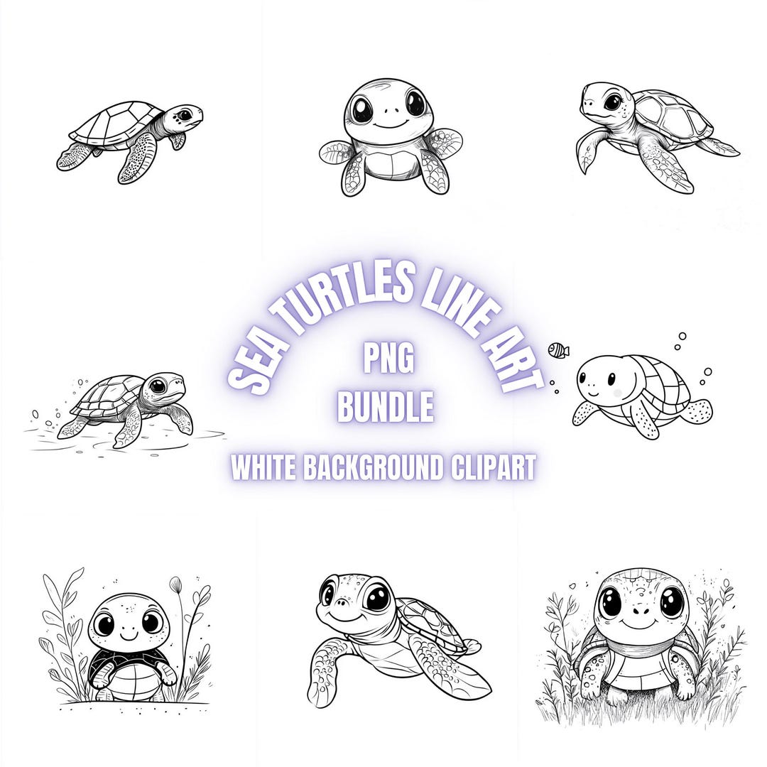 Sea Turtle Line Art PNG Clipart Bundle, Caretta Caretta Line Art ...