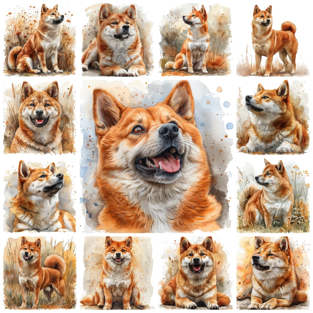 32 Shiba Inu Dog Breed PNG Clipart, Watercolor Japanese Shiba Inu Pet ...