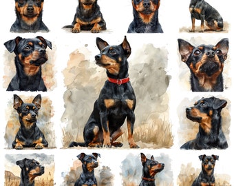 Miniature Pinscher Clipart Set Mini Pin Zwergpinscher Digital ...