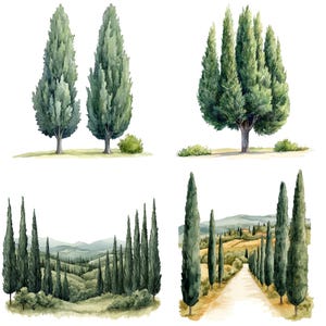 Cypress Tree PNG Clipart Bundle, Watercolor Cypress Tree Landscape ...