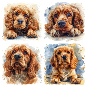 44 Cocker Spaniel Dog Breed PNG Clipart, Watercolor English Cocker ...