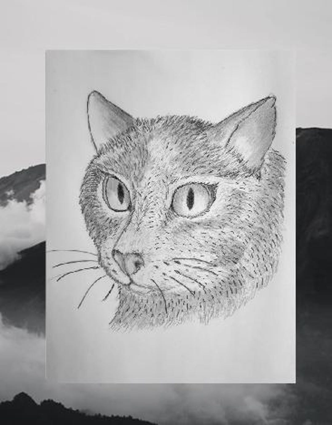 Pencil Drawing - A Cat . Home Printable Wall Art. - Etsy