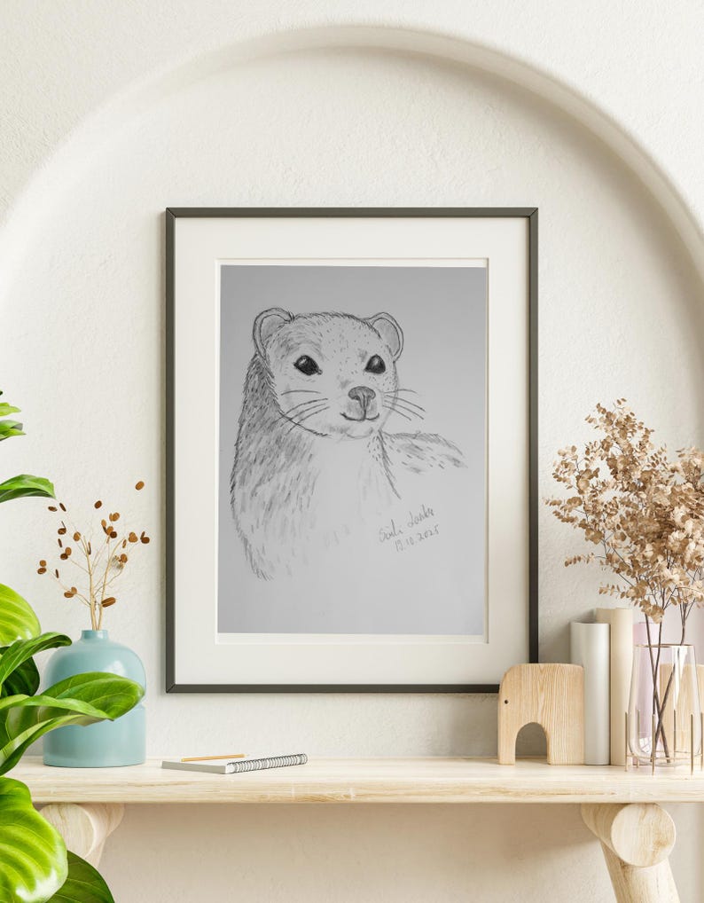 Pencil Drawing - A Stoat - Etsy