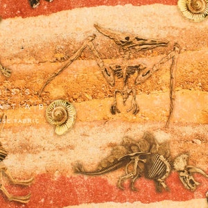 Japanese Fabric Dinosaur Fossils - 50cm - Etsy