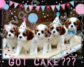 Cavalier King Charles Birthday Card - Etsy