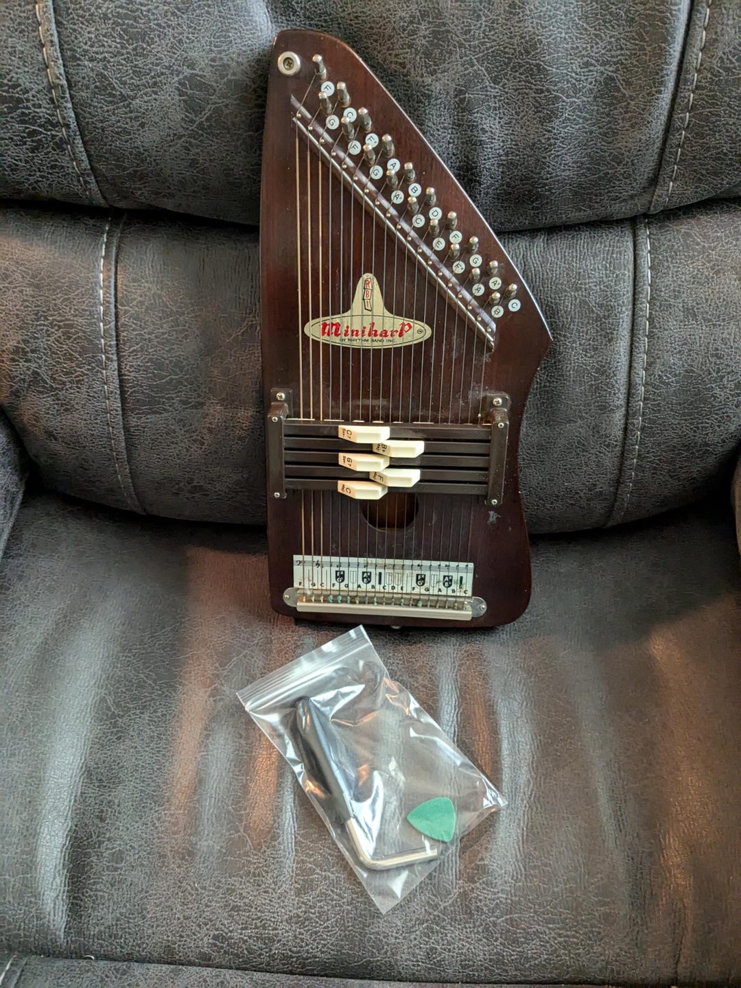 1960's Chromaharp Mini Autoharp W/ Custom Case and Accessories/ Japan ...