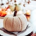 Knit Pumpkin, Fall Decor, Cozy Knits, Fall Harvest, Fall Table Decor ...