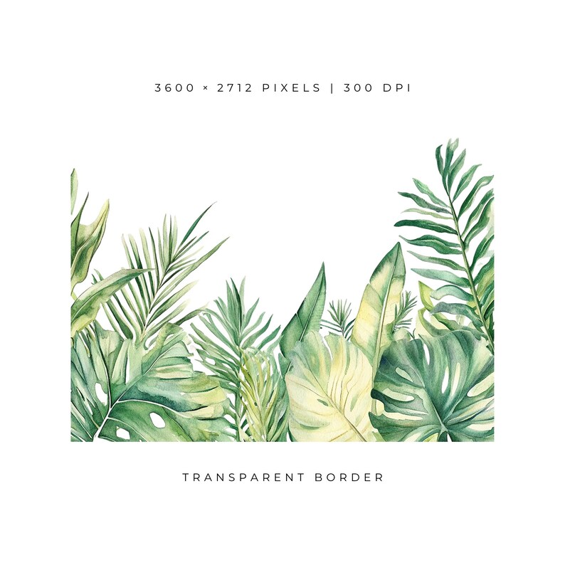 Galapagos Islands Clipart Set: Tropical Wildlife Pngs (commercial Use ...