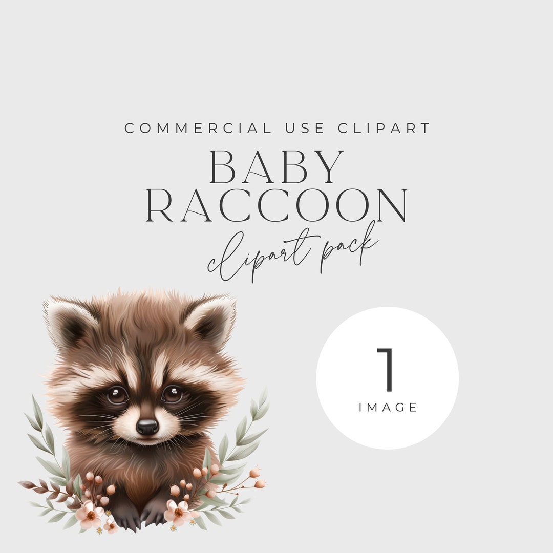 Cute Baby Raccoon Clipart, Single Image, Commercial License ...