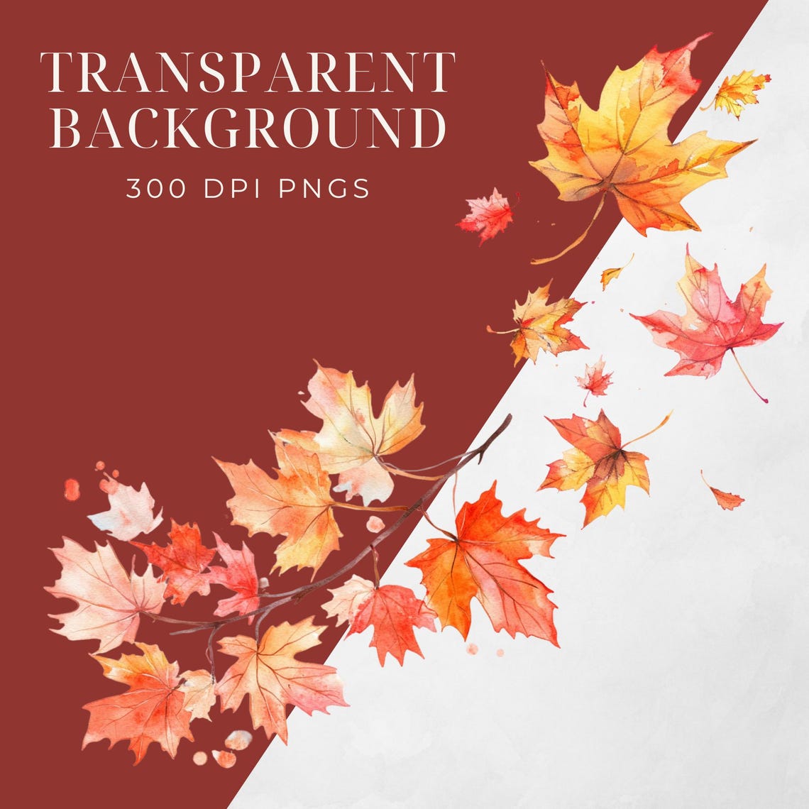 Watercolor Maple Leaf Clipart, Autumn Graphics, Digital Orange ...