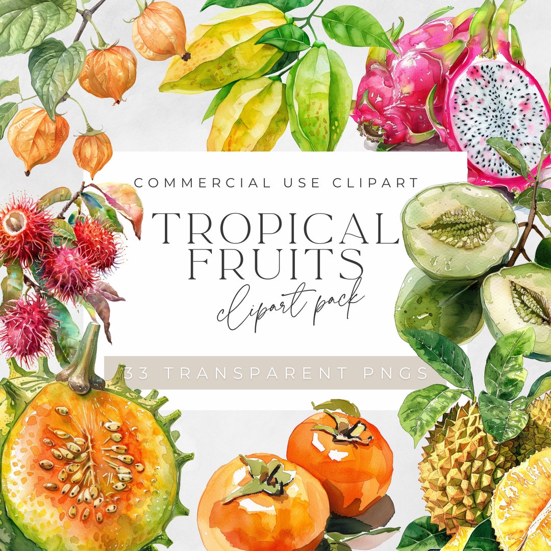 Tropical Fruit Watercolor Clipart: 33 PNG Illustrations (digital ...