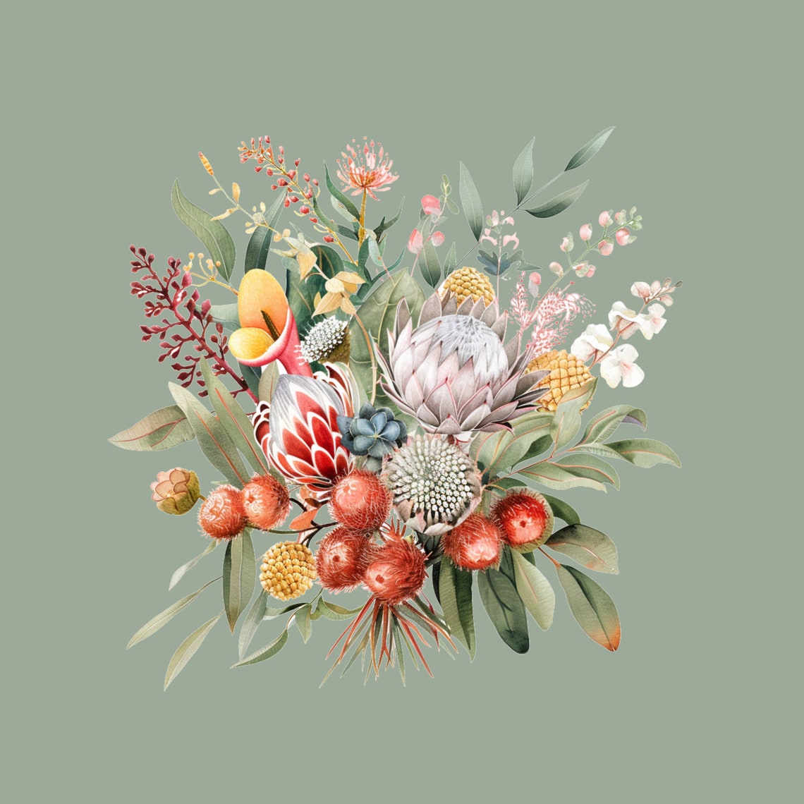 Native Australian Watercolor Flowers, Transparent PNG, Desert Flowers ...