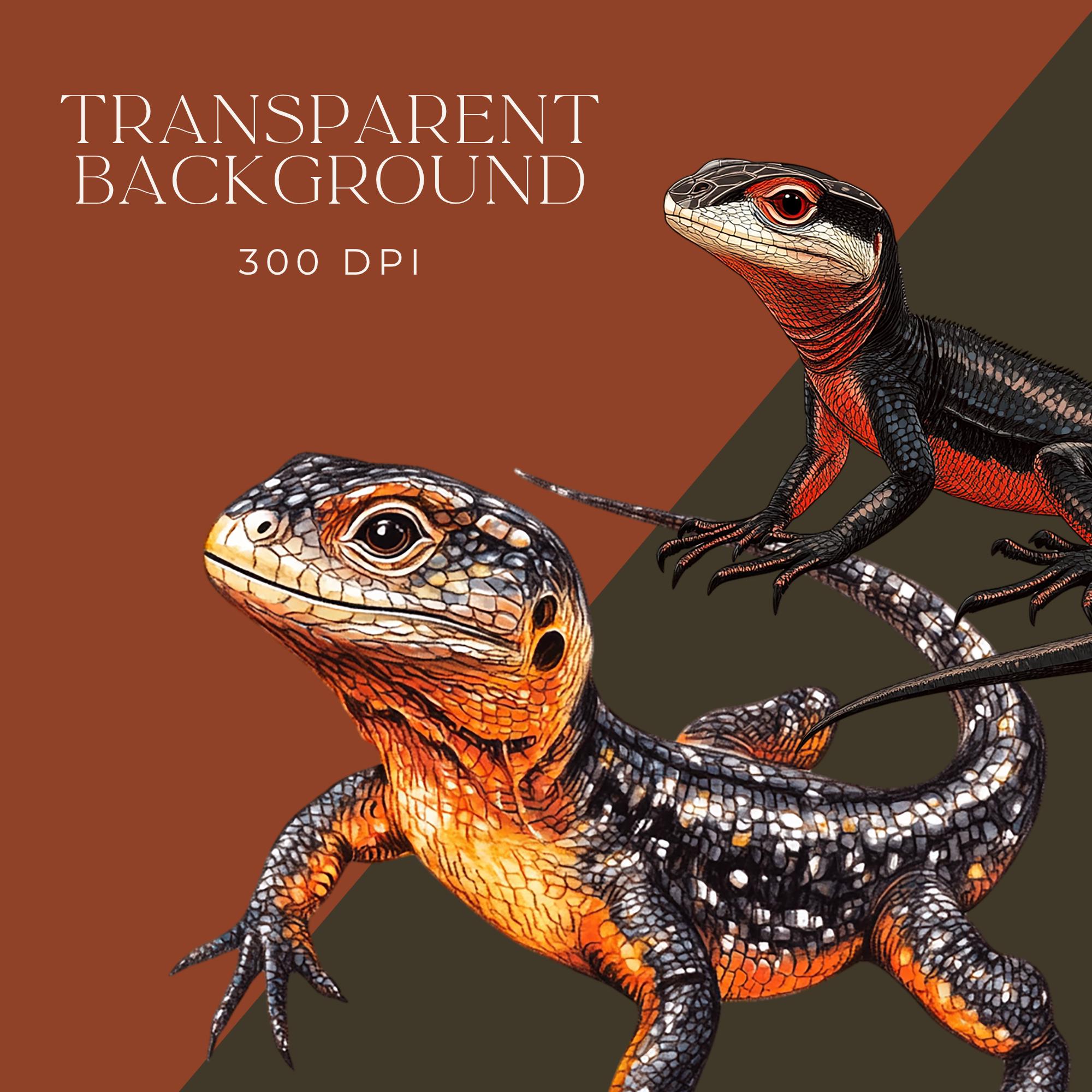 Galapagos Islands Clipart Set: Tropical Wildlife Pngs (commercial Use ...