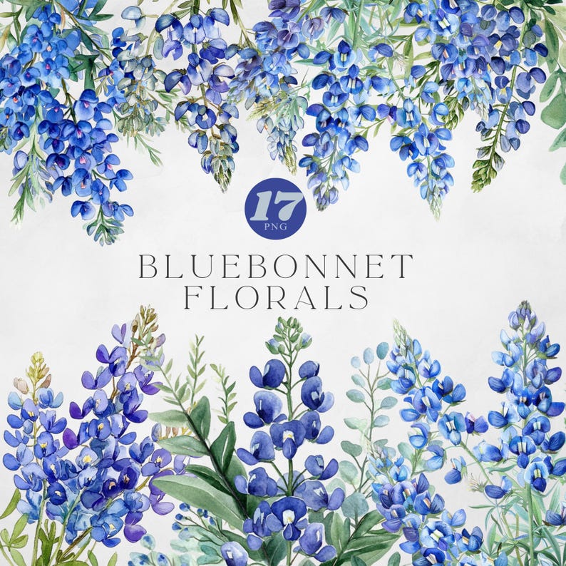 Bluebonnet Flower Clipart: Watercolor PNG Set (digital Download, 17 ...