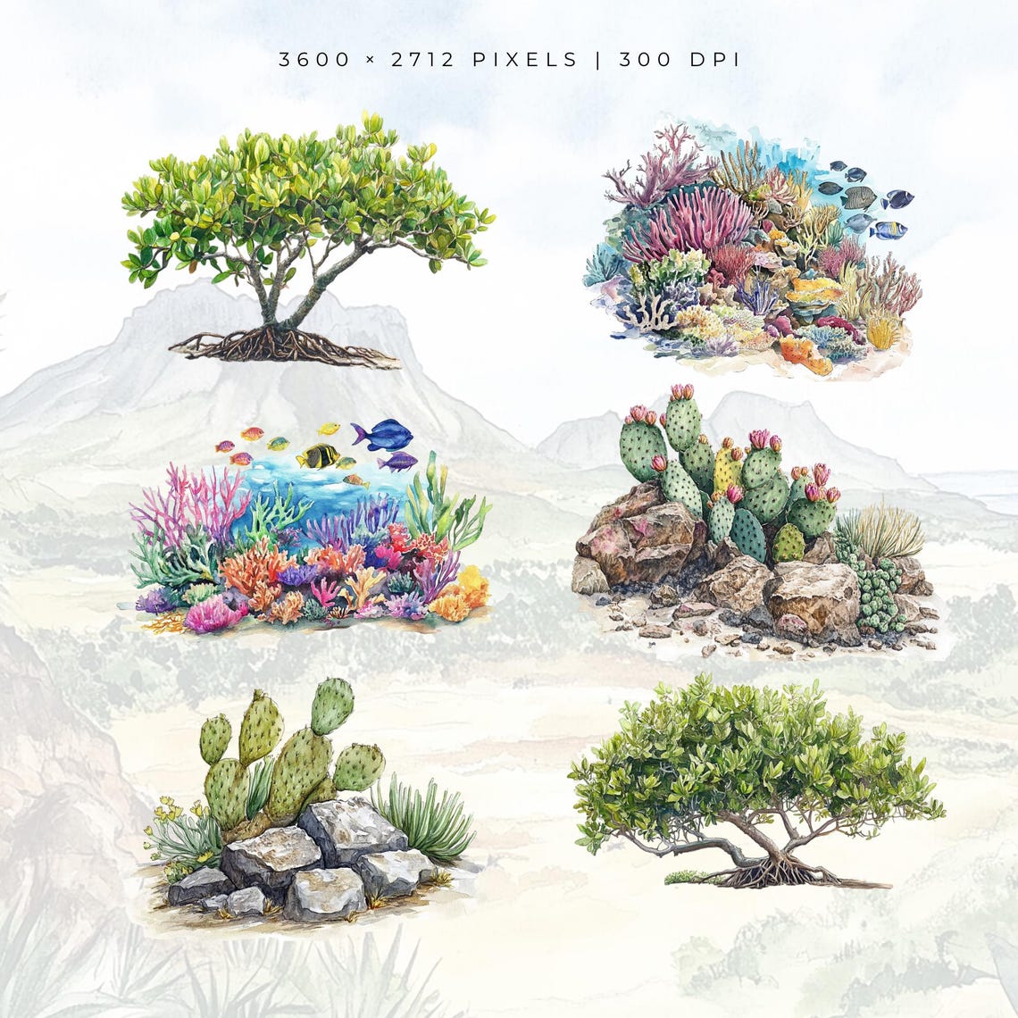 Galapagos Islands Clipart Set: Tropical Wildlife Pngs (commercial Use ...