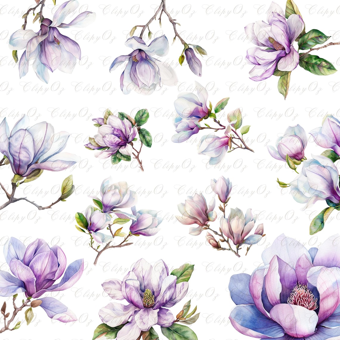 Purple Magnolia Watercolour Flowers, Transparent PNG, Purple Flowers ...