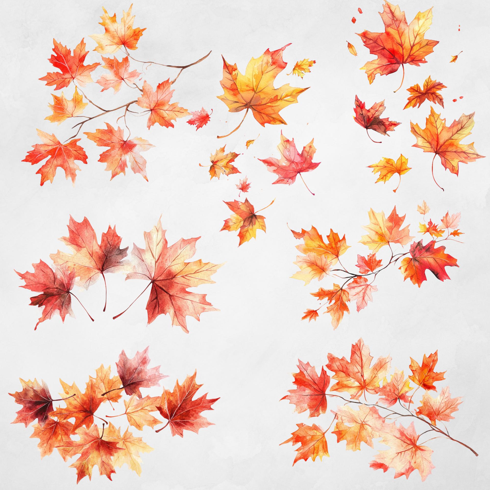 Watercolor Maple Leaf Clipart, Autumn Graphics, Digital Orange ...