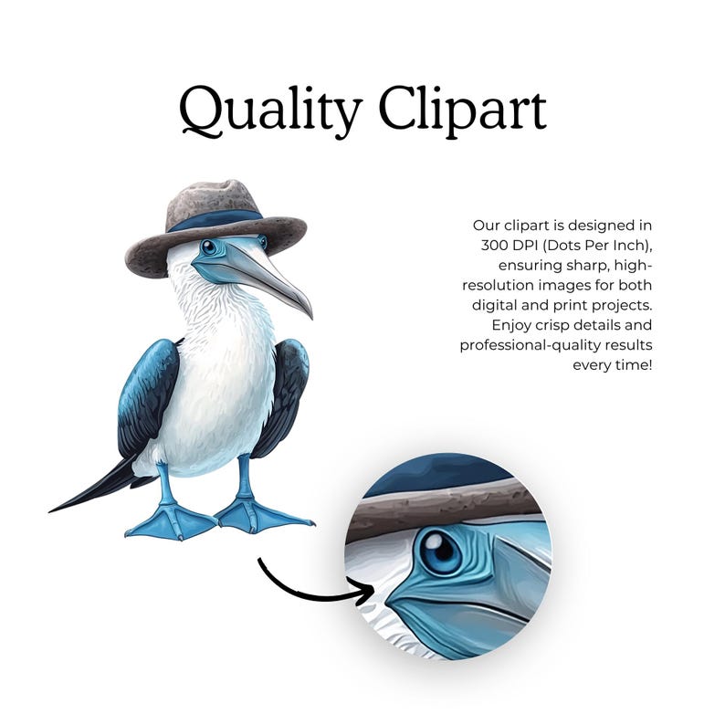 Galapagos Islands Clipart Set: Tropical Wildlife Pngs (commercial Use ...