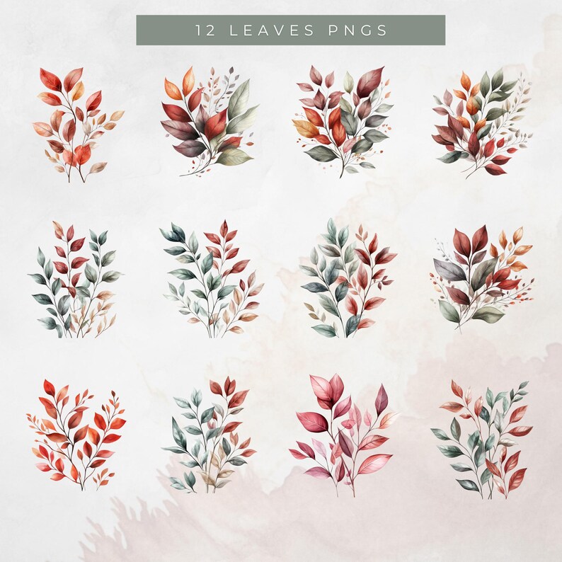 Burgundy Watercolor Flowers Clipart: Fall Autumn Floral (50 PNG) - Etsy