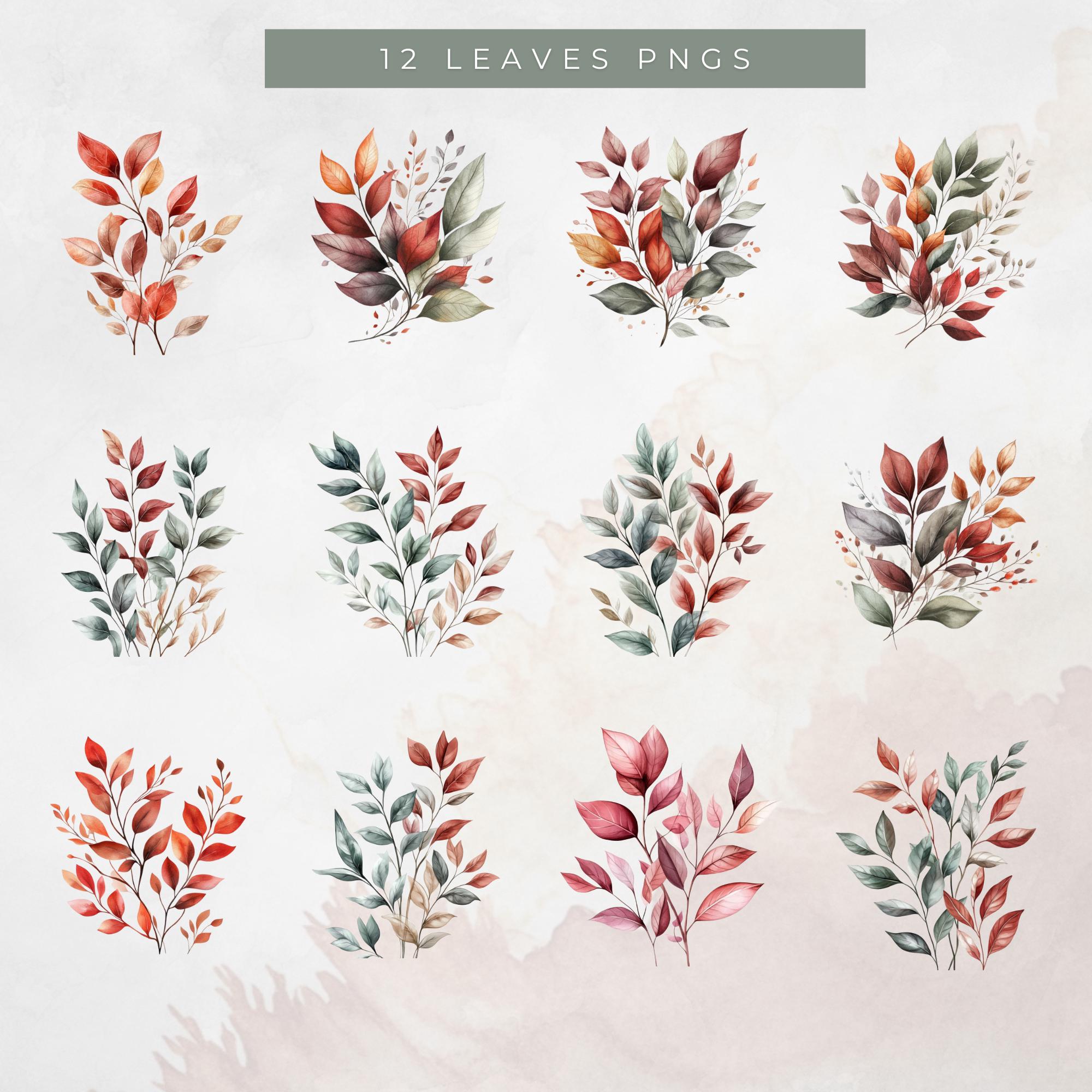 50 PNG, Burgundy and Rust Watercolor Flowers Clipart, Fall Floral, Art ...