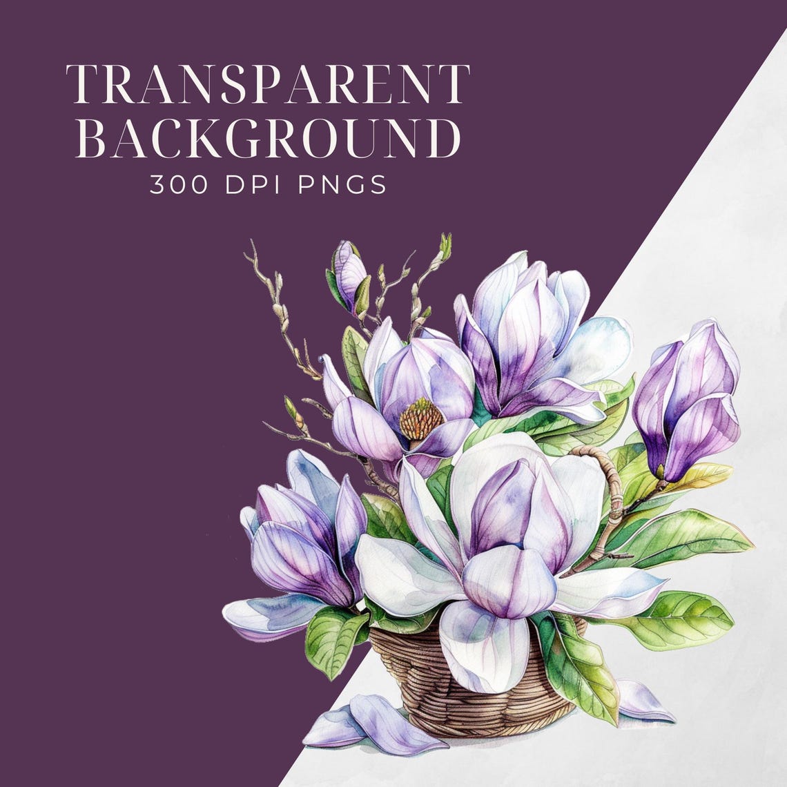 Purple Magnolia Watercolour Flowers, Transparent PNG, Purple Flowers ...