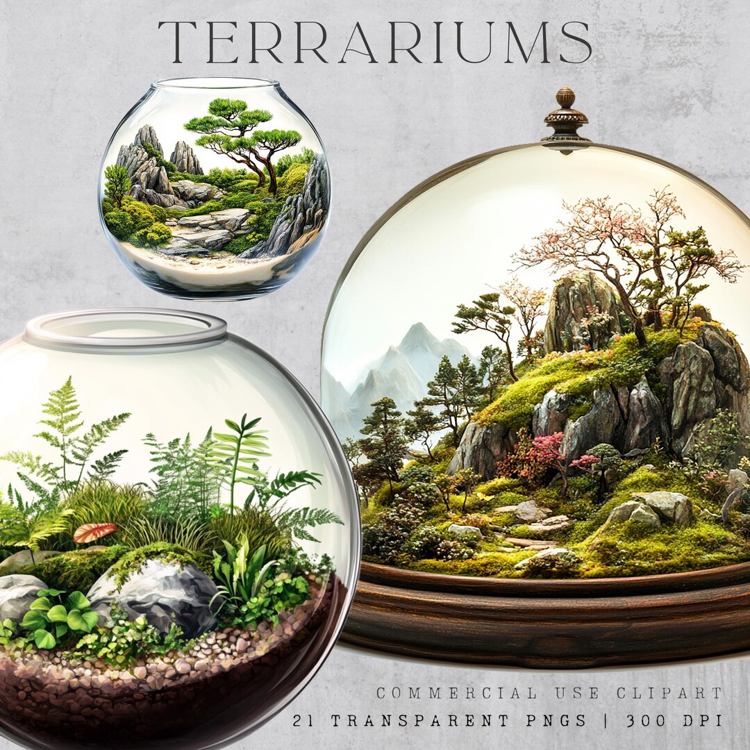 Green Terrarium Clipart: Floral PNG Graphics (digital Download) - Etsy